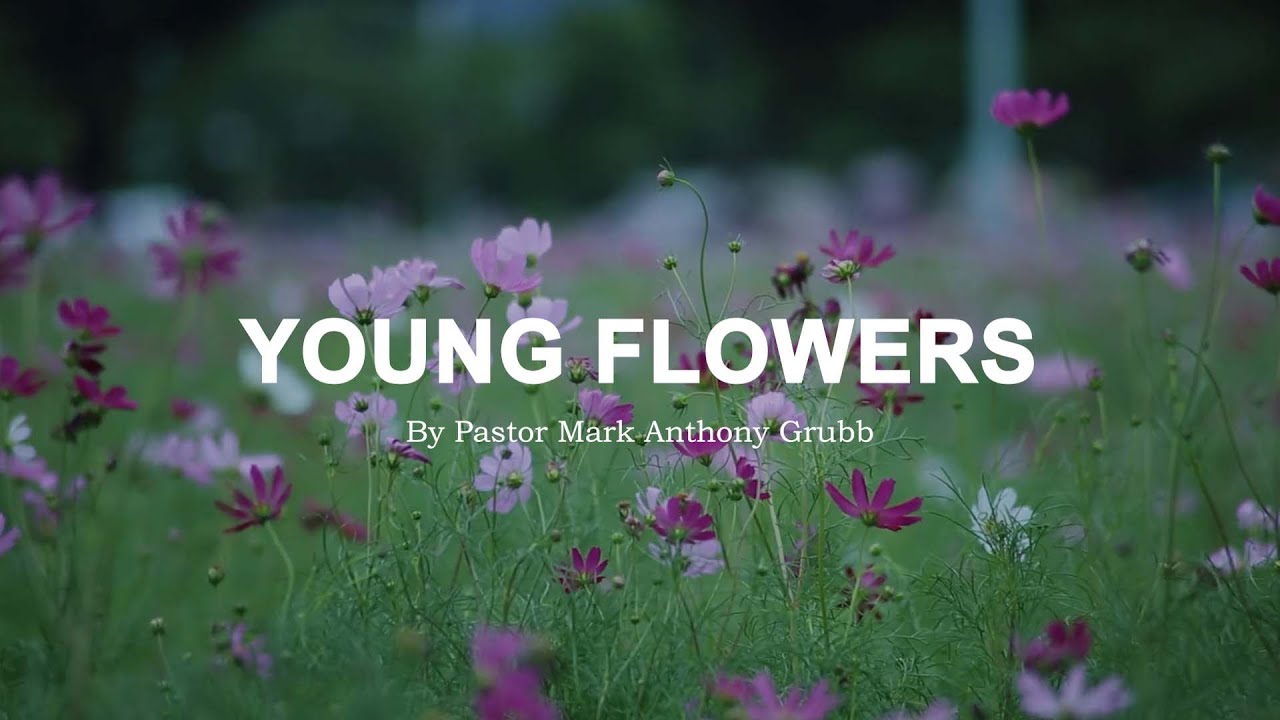 Young Flowers By Pastor Mark Anthony Grubb - YouTube