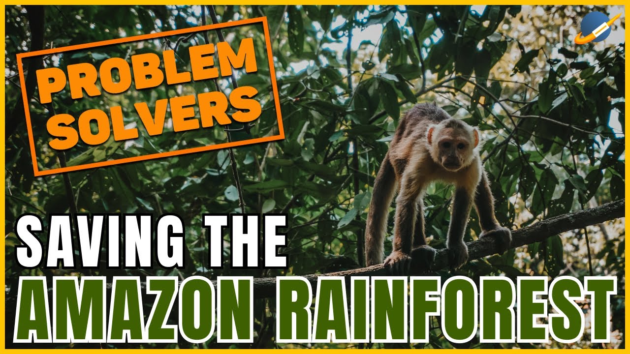 How Can We Save the Amazon Rainforest? - YouTube