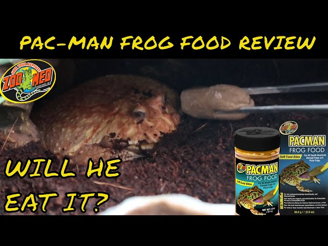 Zoomed Pacman Frog Food