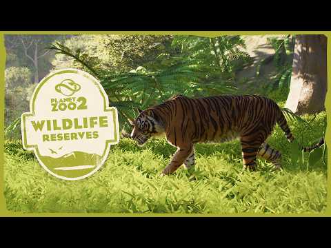 Planet Zoo 2 | Feature Focus - Wildlife Reserves