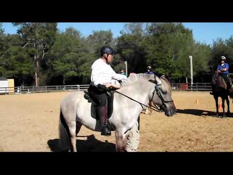 Mounted Police Instructor and Advanced Mounted Law Enforcement and ...