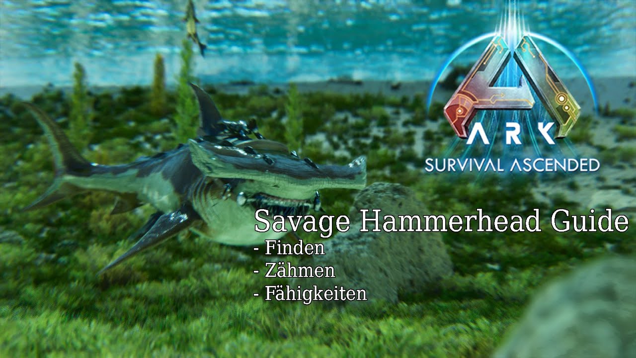 Savage Hammerhead Guide Deutsch [Shads Atlas Imports] - YouTube