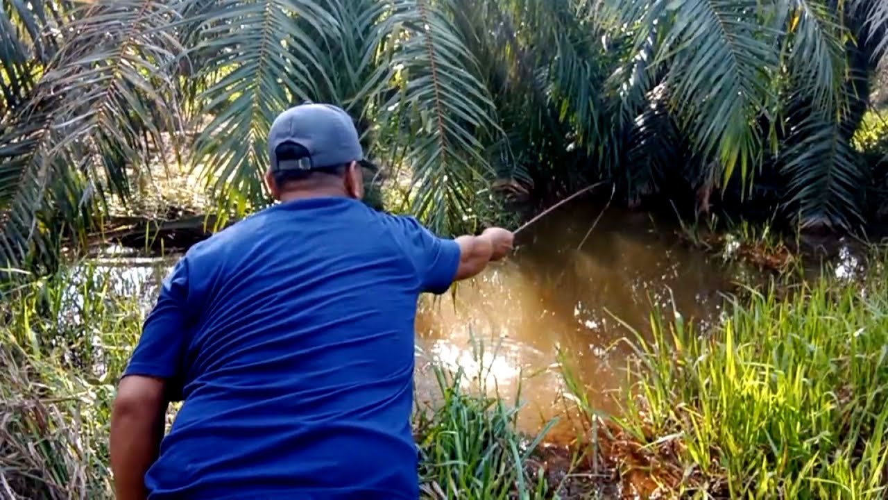 SHOCK..!! | SAAT AIR RAWA MENGELUARKAN ISINYA - YouTube