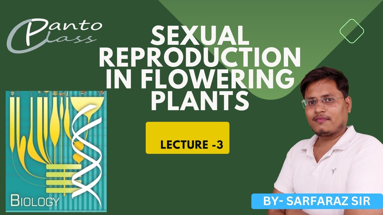 Pollination | Kinds of Pollination | Agents of Pollination | Class 12 ...