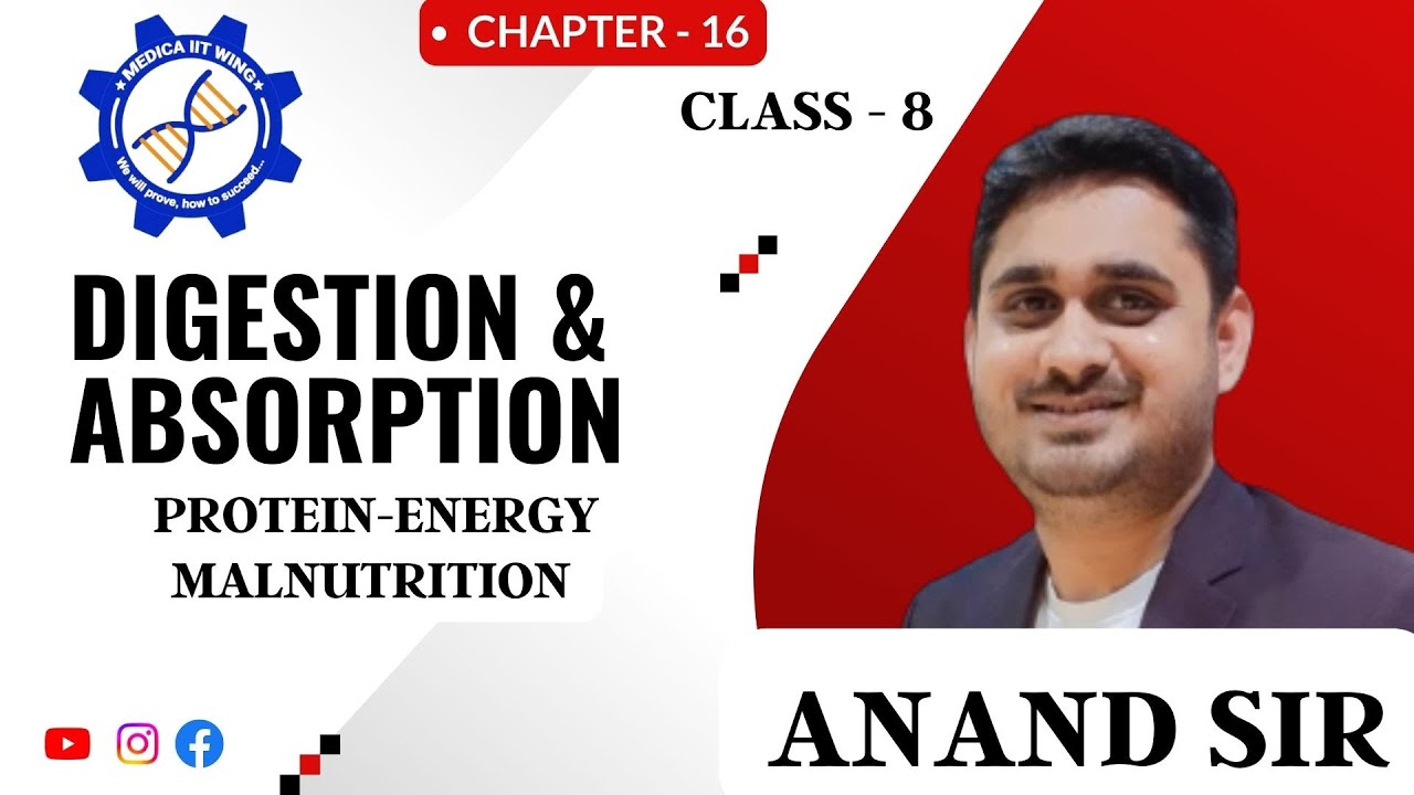 DIGESTION AND ABSORPTION || CLASS 8 || PEM || Protein-energy ...