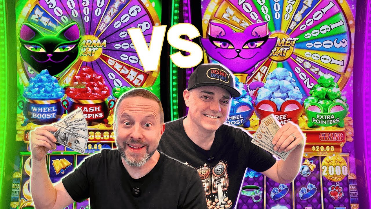 Head-to-Head Challenge: Kismet Kat or Karma Kat? - YouTube