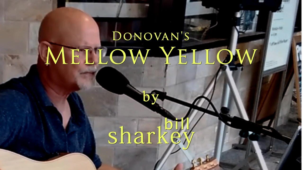 Mellow Yellow - Donovan (cover-live by Bill Sharkey) - YouTube