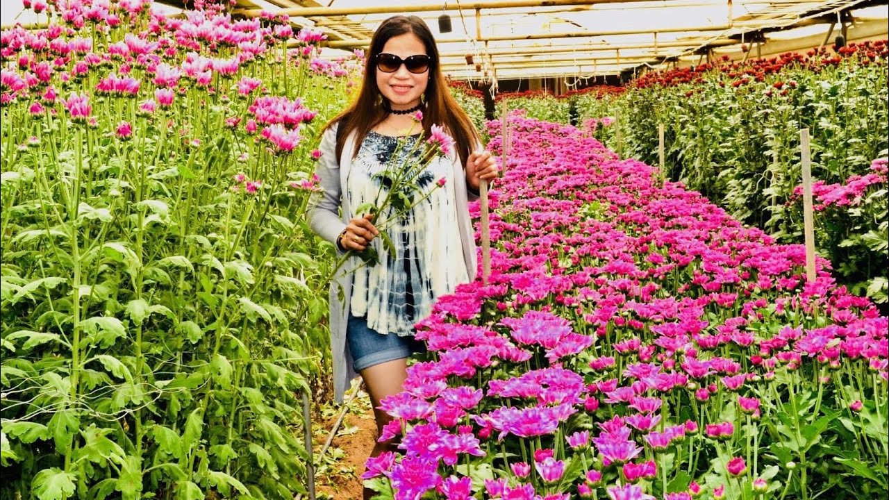 Astra farm Tabuk ksa - YouTube