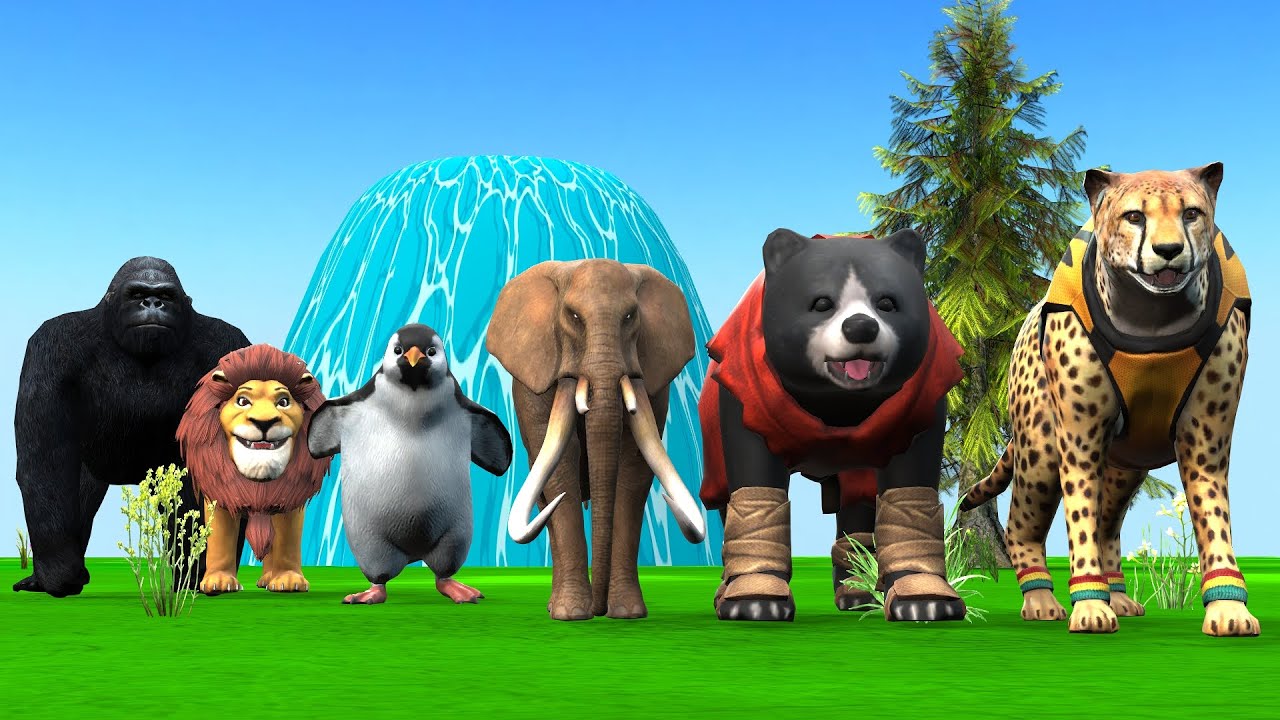 Dog, Lion, Buffalo, Monkey, Rabit, Mouse, Turtle, Chicken, Pig Wild ...