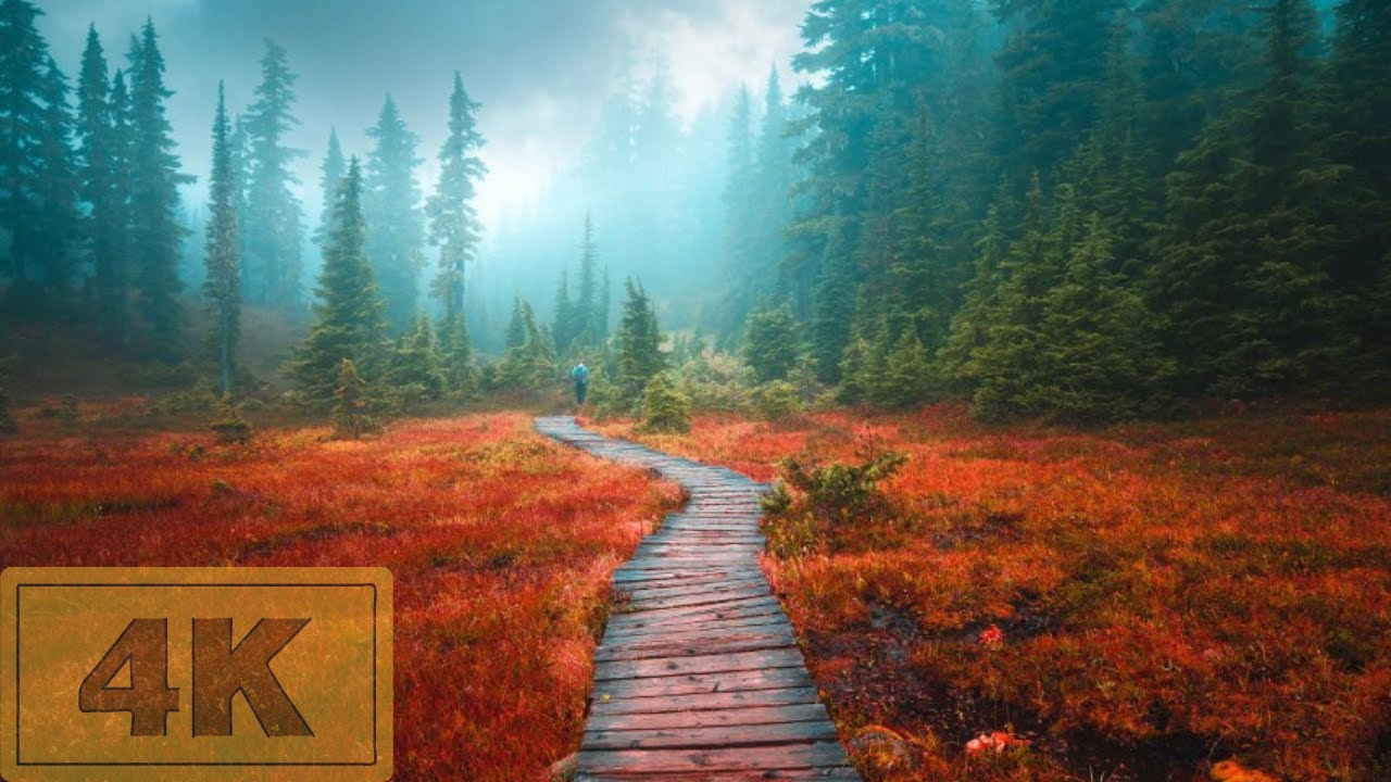 4K Nature Slideshow for Ultimate Relaxation | Tranquil Music for sleep ...