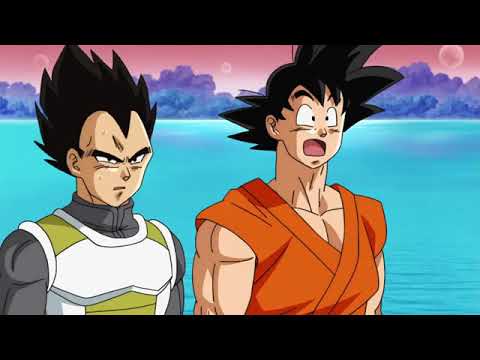 Goku e Vegeta treinando