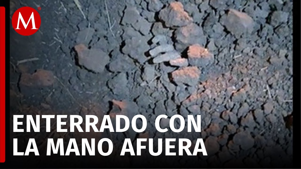 Colectivo encuentra fosa clandestina con al menos tres cuerpos en Irapuato - YouTube