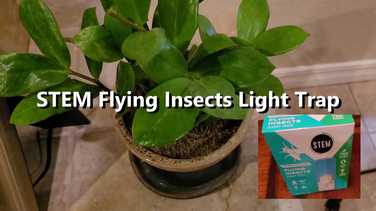 STEM Flying Insect Light Trap - YouTube