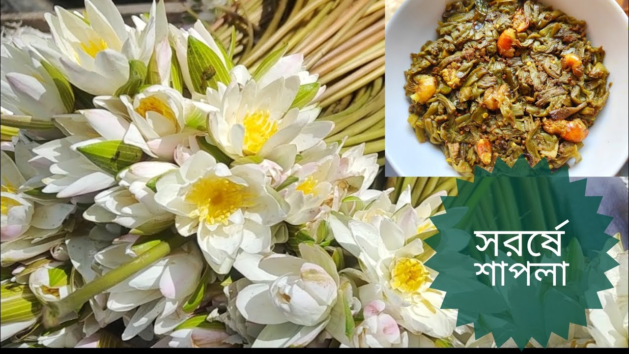 শাপলা রান্নার সবচেয়ে সহজ পদ্ধতি। Easy Sapla Recipe. #waterlilies # ...
