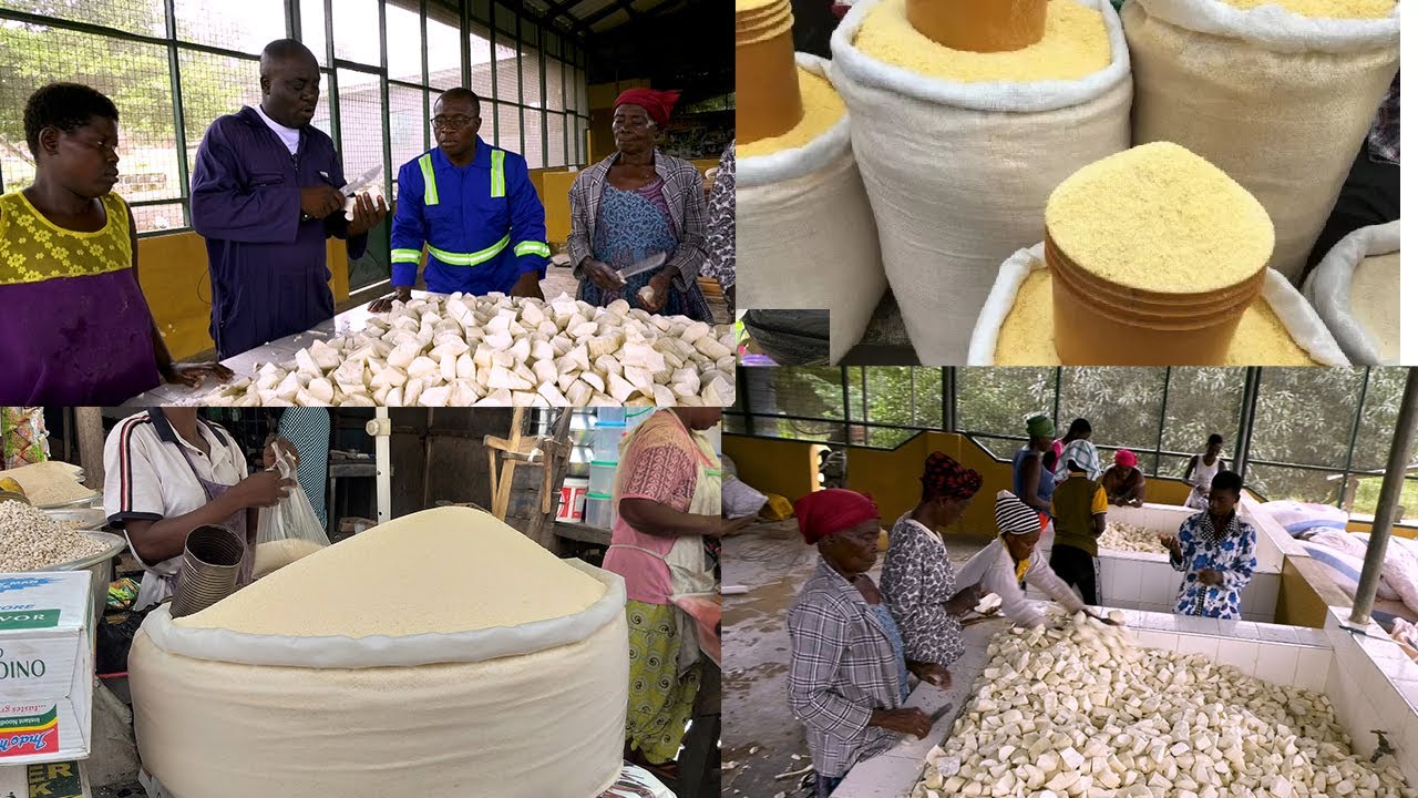THE BIGGEST GARI FACTORY IN CENTRAL REGION OWNED BY THE CHURCH OF ...