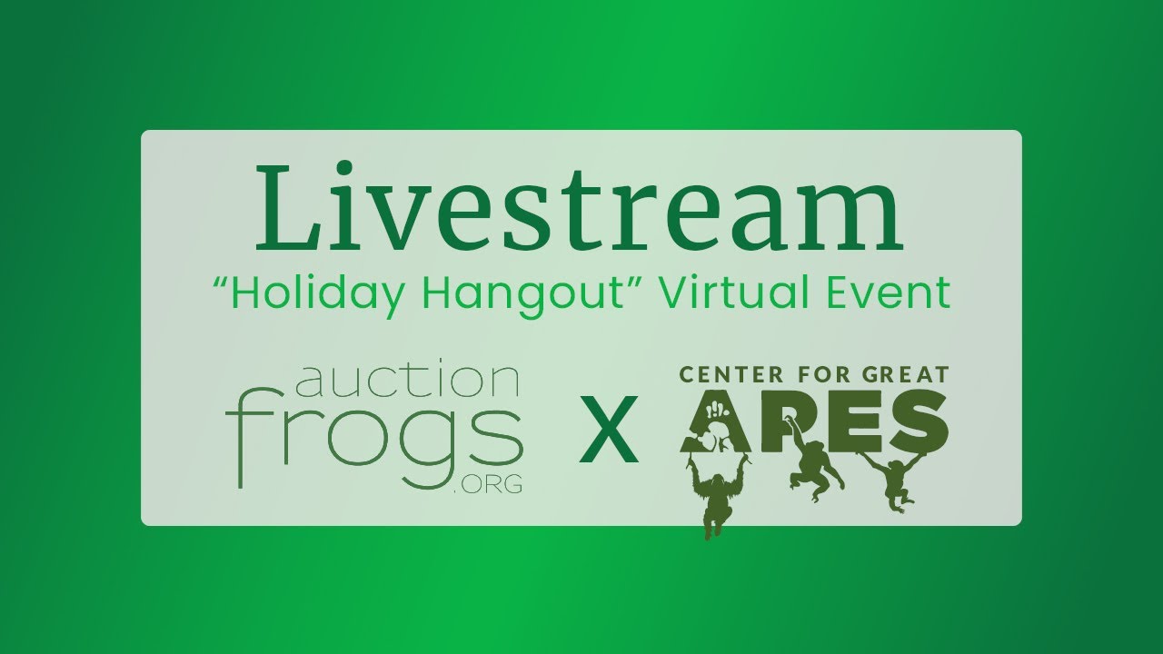 Auction Frogs Livestreams | Center for Great Apes Virtual Holiday ...
