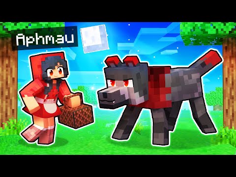 Aphmau Tricks The ALPHA WOLF In Minecraft!