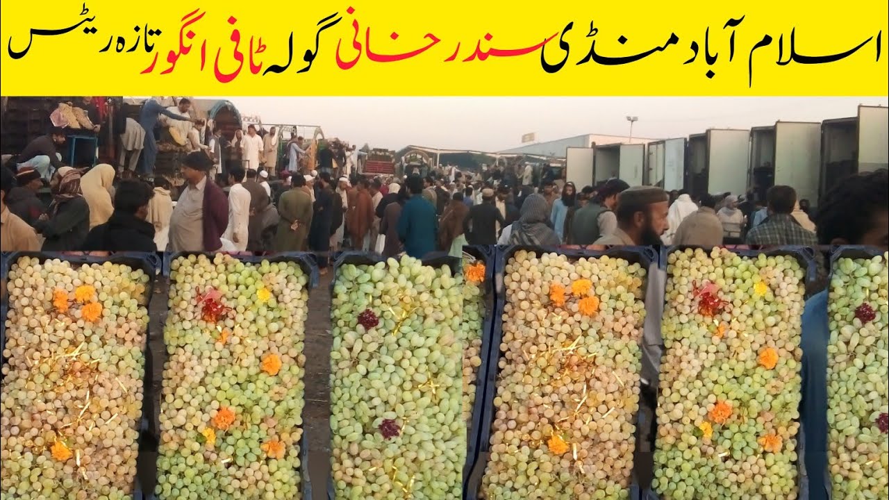 Angoor Price In Pakistan l Angur Rate Today In Pakistan l Grape Price ...