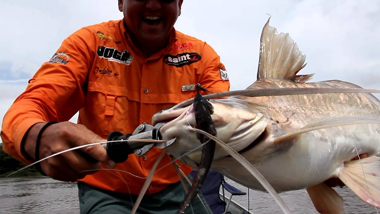 Pescaria de Rodada com Tuvira: Barbado I - YouTube