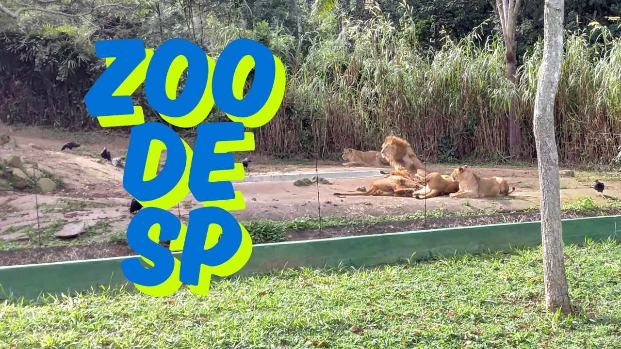 Zoo de SP - YouTube