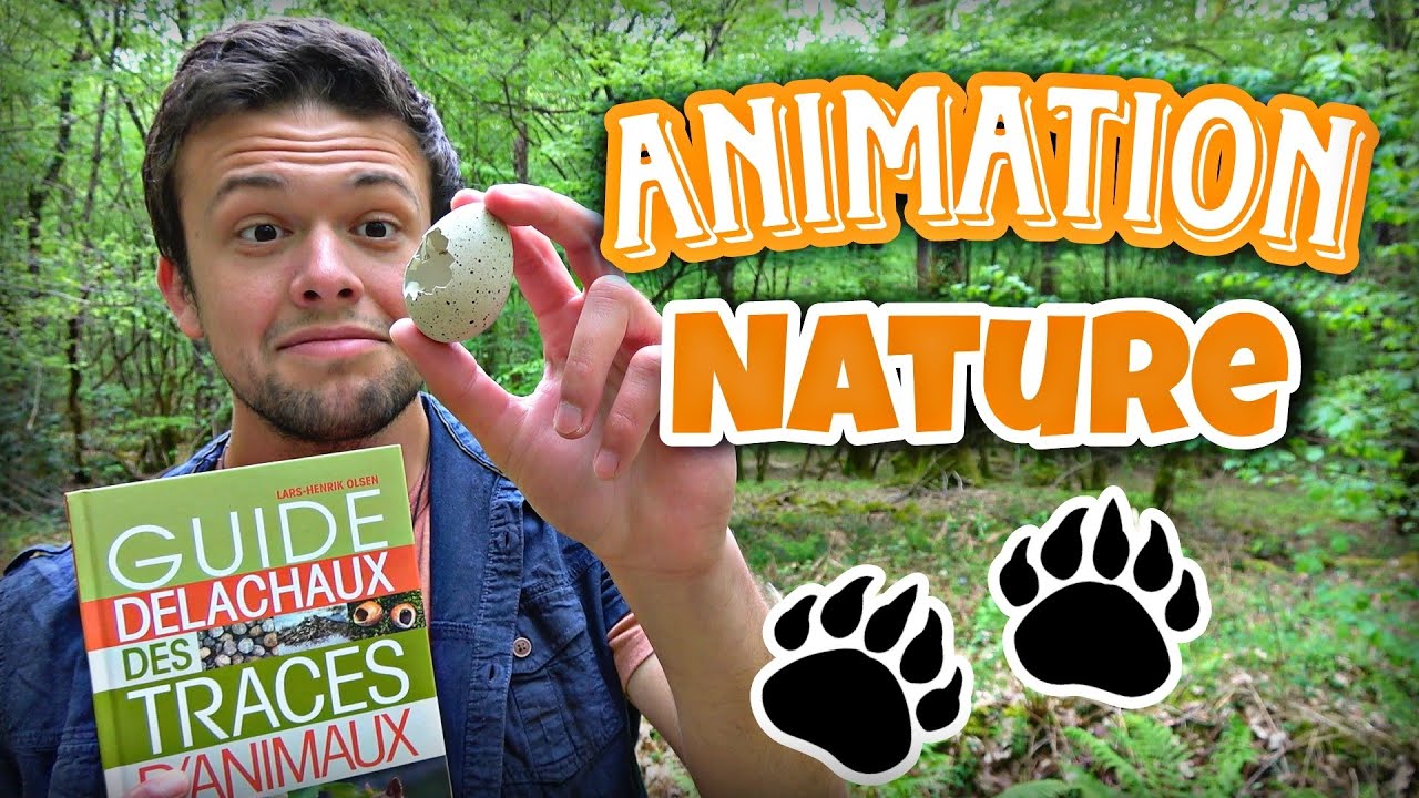 Idées de jeux et d'activités nature, thème trace et indice 🦌 [animateur ...