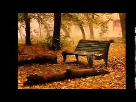 Nuri serinlendirici   Gozleyen var