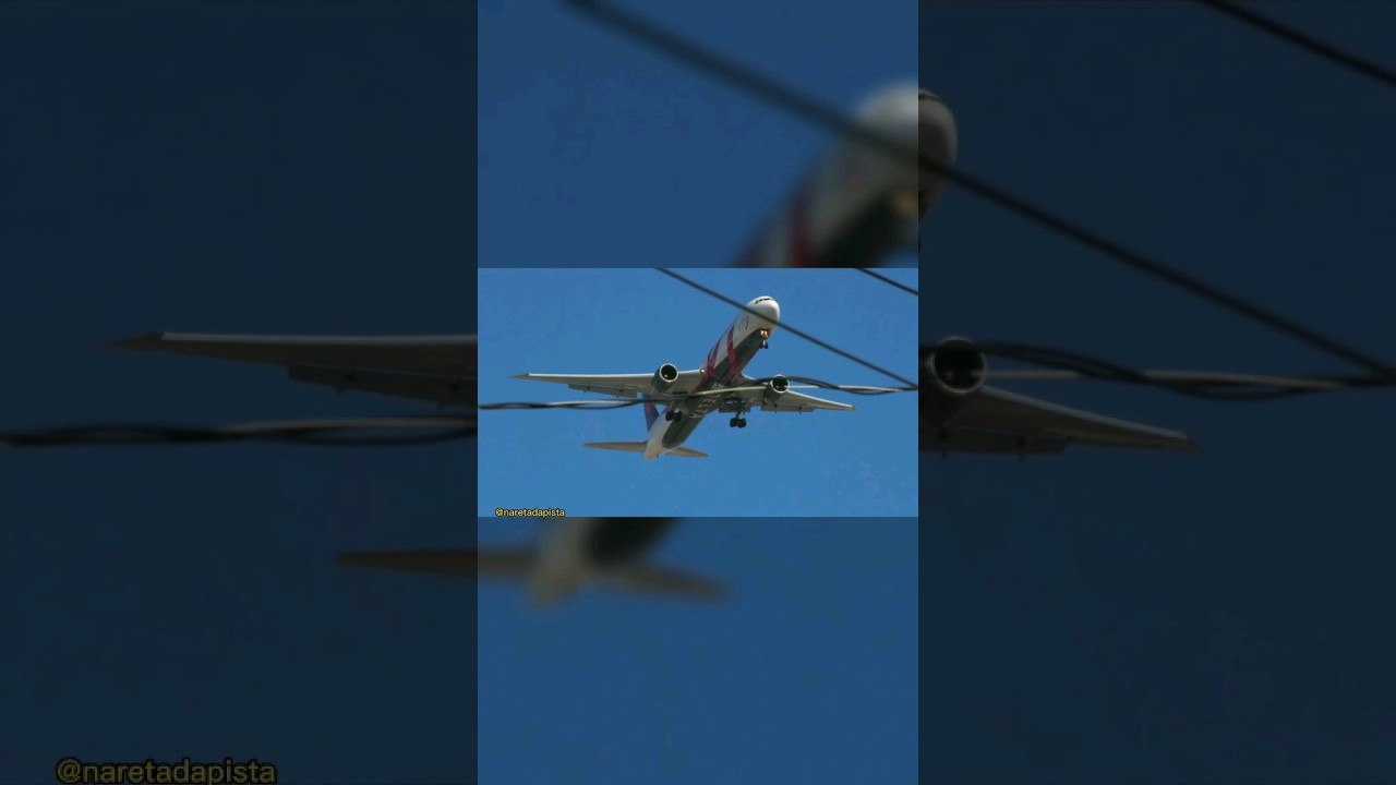 Boeing 767 da Delta Airlines com pintura especial BCRF Livery em ...