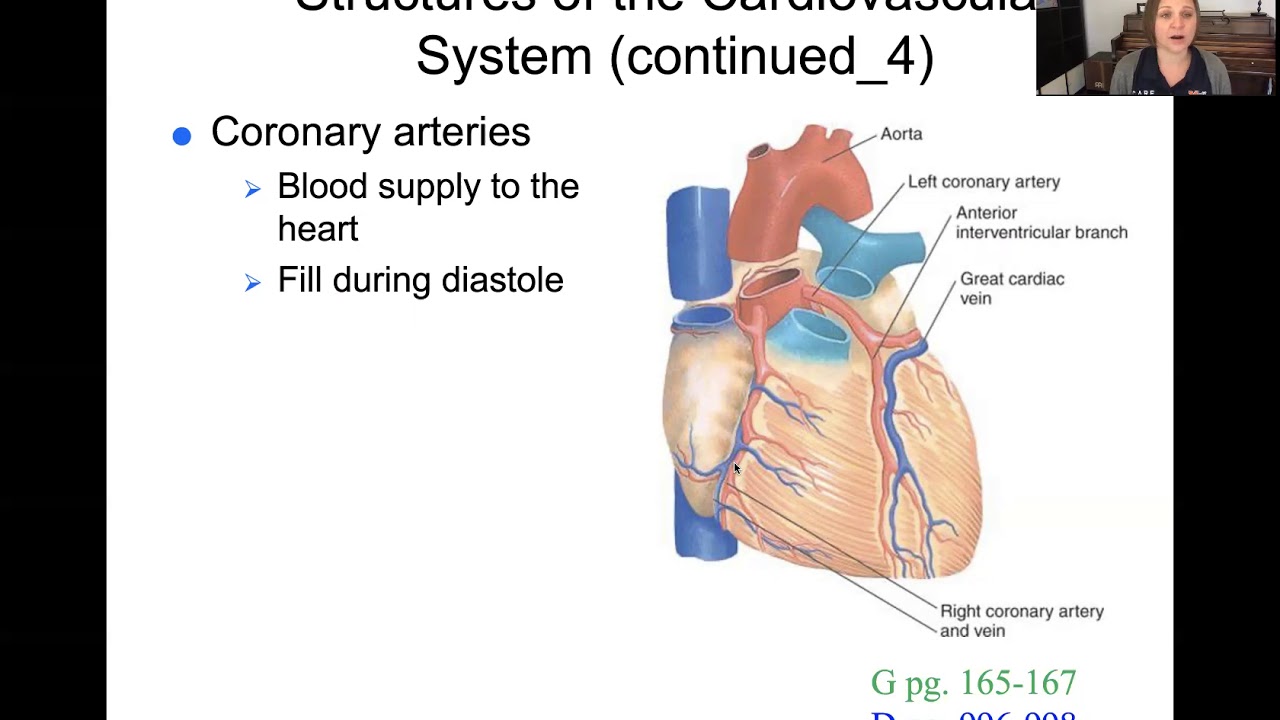 Perfusion Part 1 - 108 Fundamentals of Nursing II - YouTube