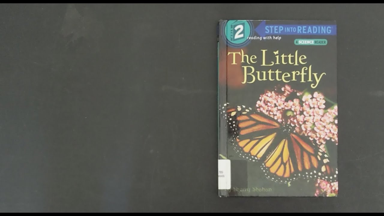 The Little Butterfly - Read Aloud - YouTube