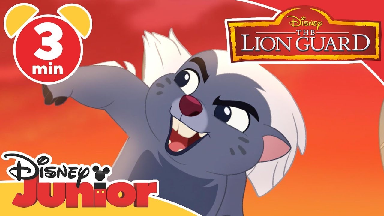 The Lion Guard | DJ On Safari: Bunga | @disneykids - YouTube