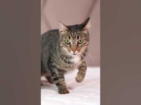 #матрасы #FStore — для тех, кто умеет наслаждаться моментом - YouTube