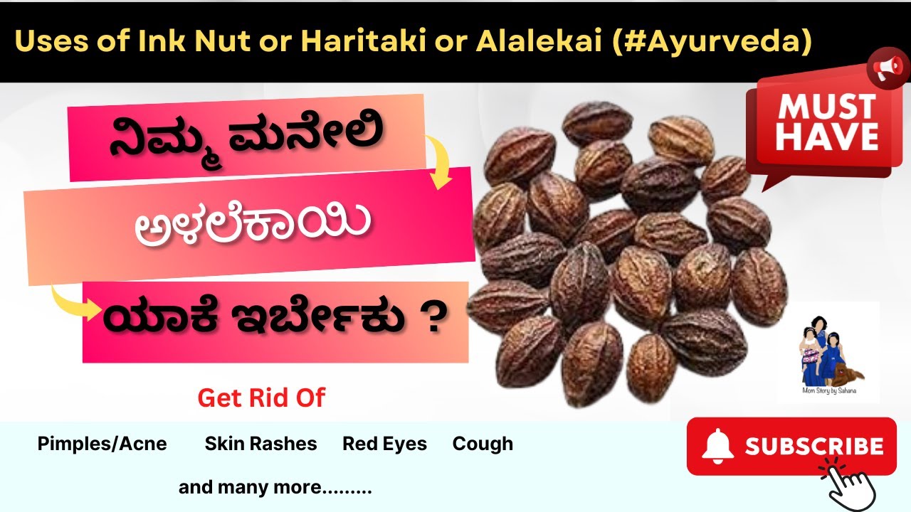 ನಿಮ್ಮ ಮನೇಲಿ ಅಳಲೆಕಾಯಿ ಯಾಕೆ ಇರ್ಬೇಕು ? Alalekai / Haritaki / Ink Nut ...