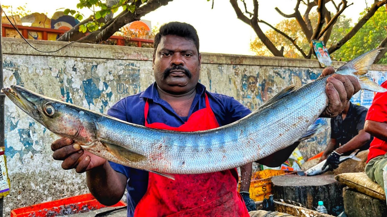 KASIMEDU 🔥 SPEED SELVAM | HUGE BARRACUDA FISH CUTTING VIDEO | 4K VIDEO ...