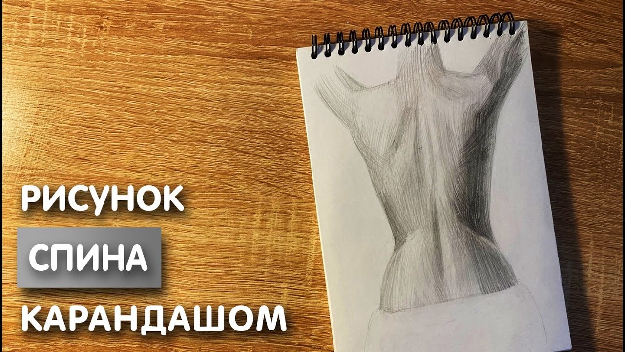 Как нарисовать спину карандашом Рисунок для начинающих поэтапно Youtube