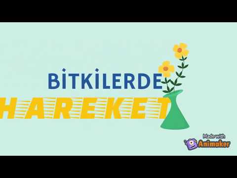 Biyoloji - Bitkilerde Hareket/Tropizma1