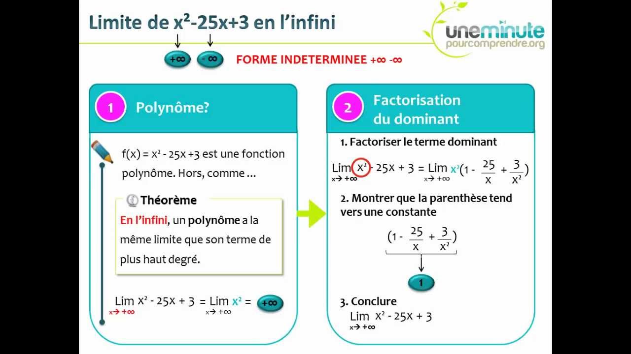 Forme Indéterminée 0 X Infini – Formes Indéterminées en Analyse : Guide ...