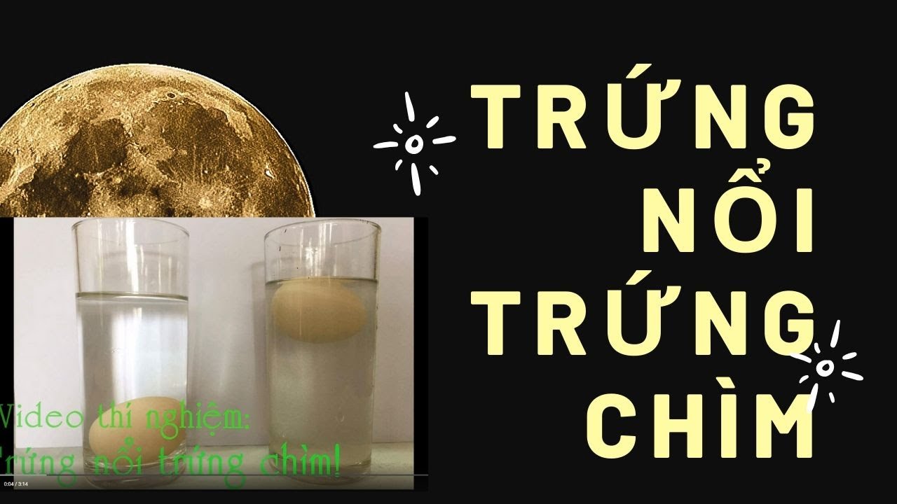 Thí Nghiệm Trứng Nổi Trứng Chìm Youtube