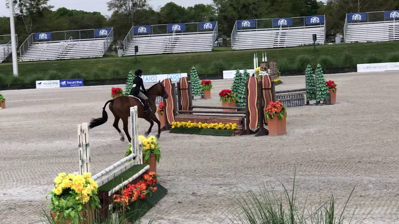 Madeline Jordan and Cobellini FZ Platinum Performance Derby - YouTube