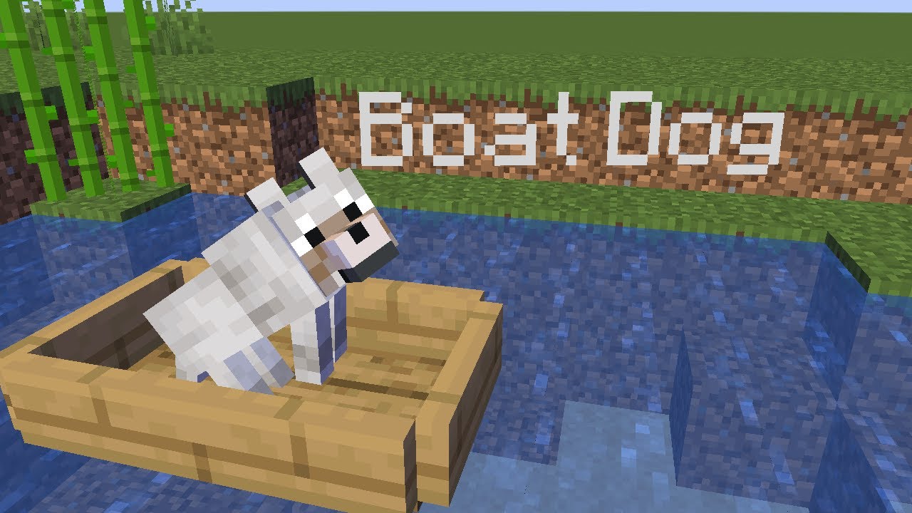 Boat Dog (Minecraft Animation) - YouTube