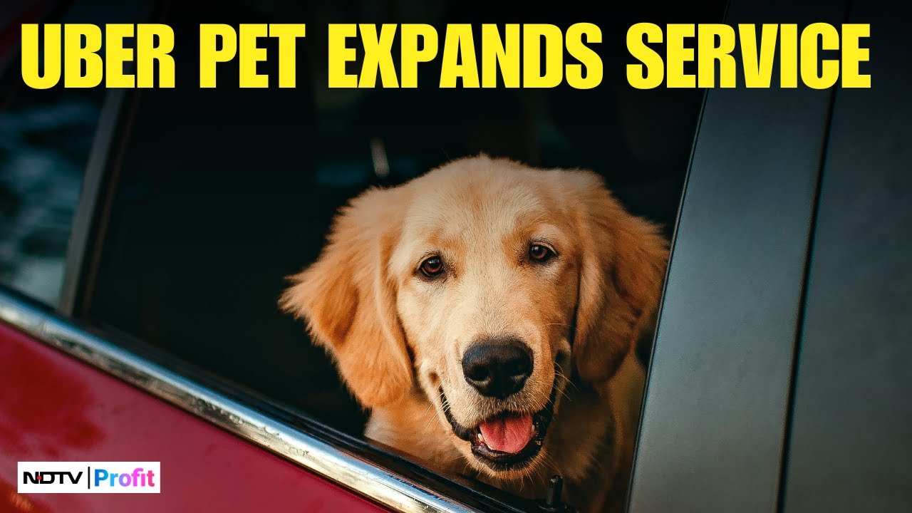 Uber Pet Expands Presence In Delhi & Mumbai; Joins Hands With Heads Up ...