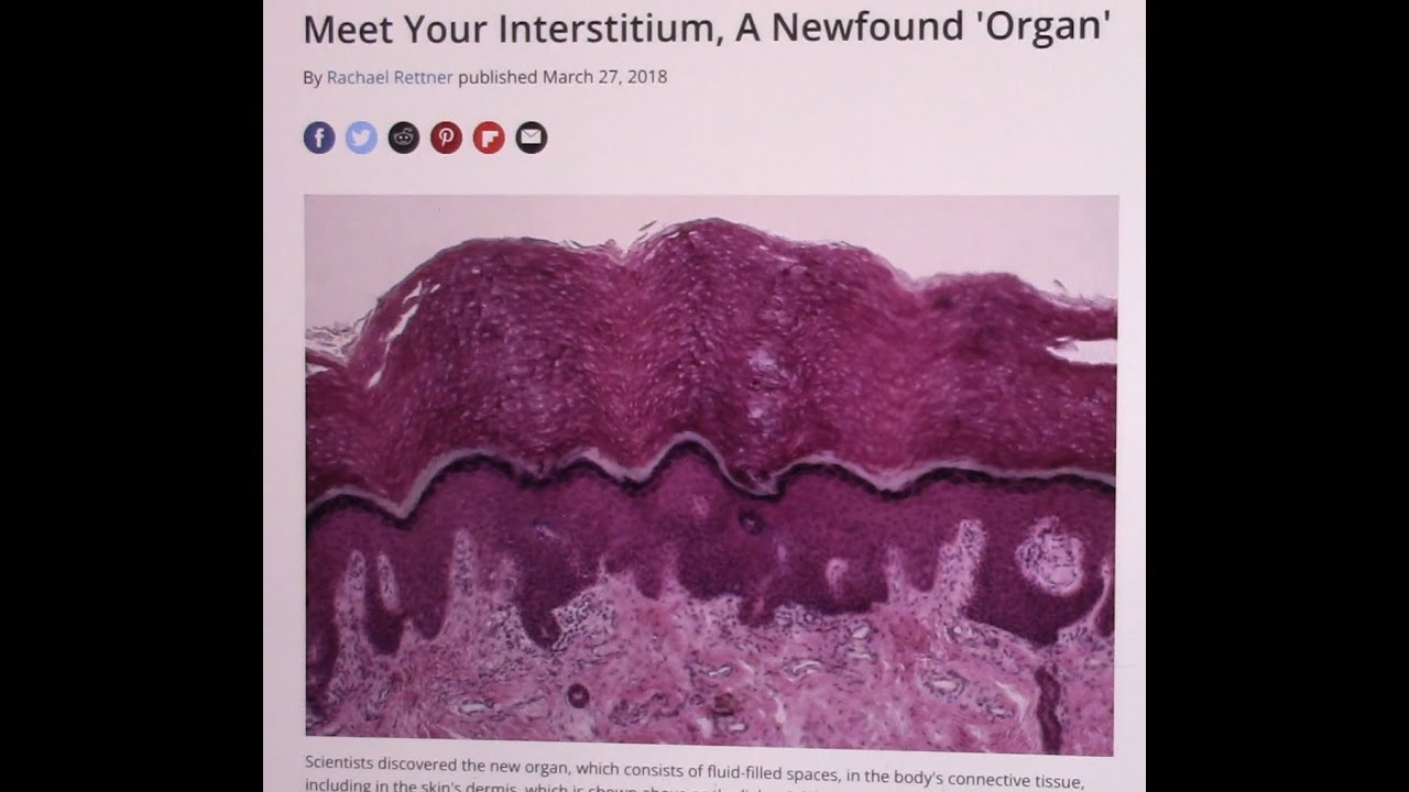 A New Found Organ in Humans may be the Immune Systems Delivery Network ...