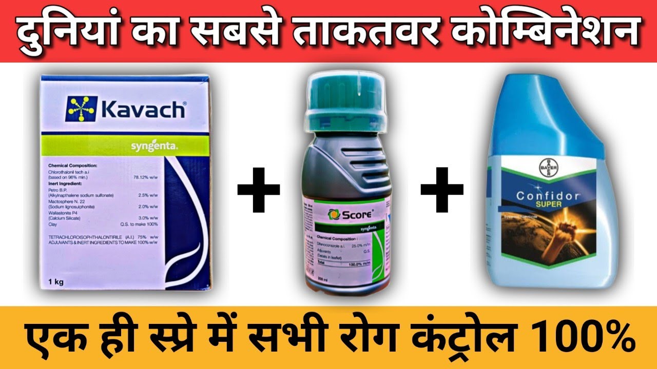best fungicide insecticide combination | score fungicide | kavach ...