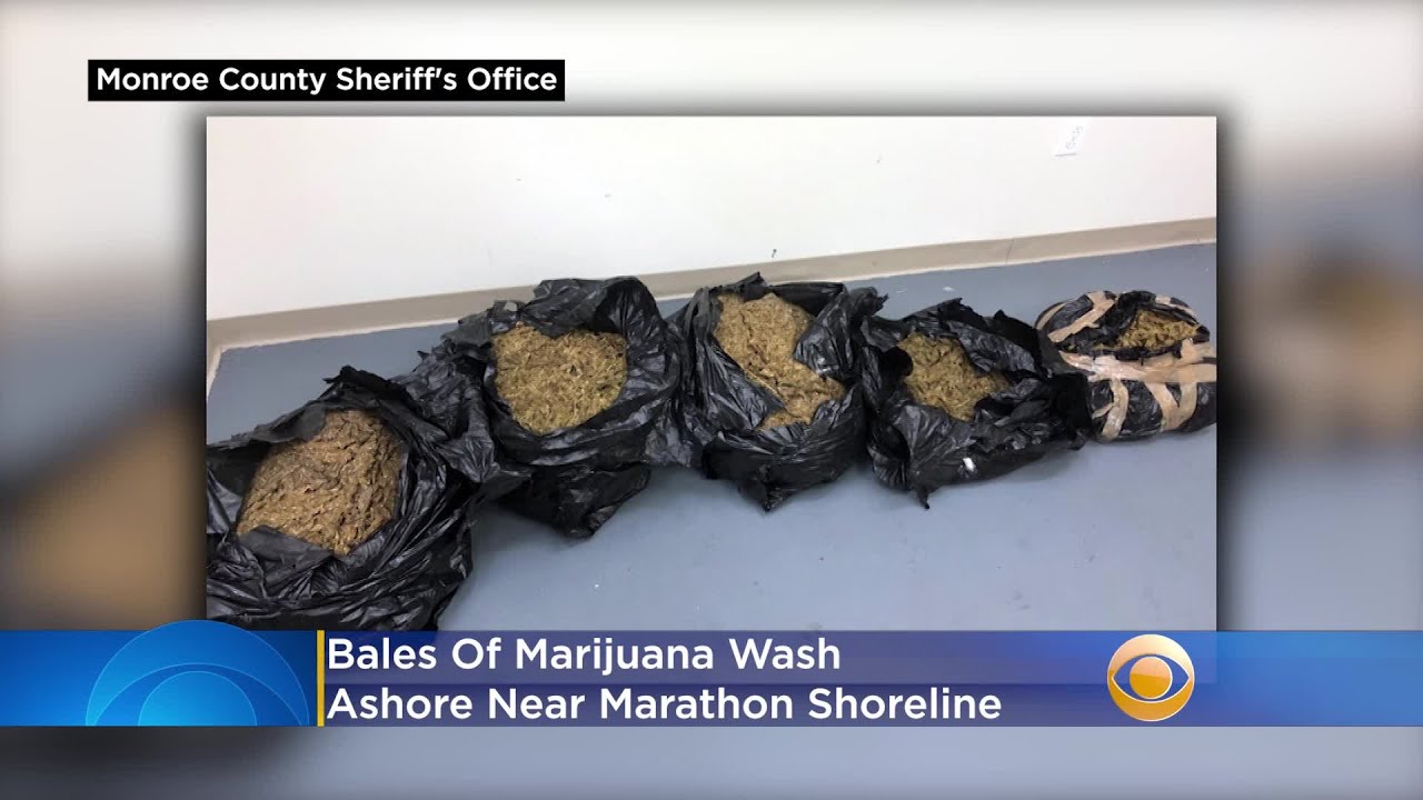 Bales Of Marijuana Wash Ashore In Marathon - YouTube