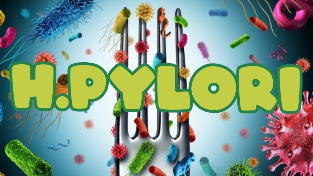 Helicobacter pylori | Pathogenesis | Lab diagnosis | GIT microbiology ...