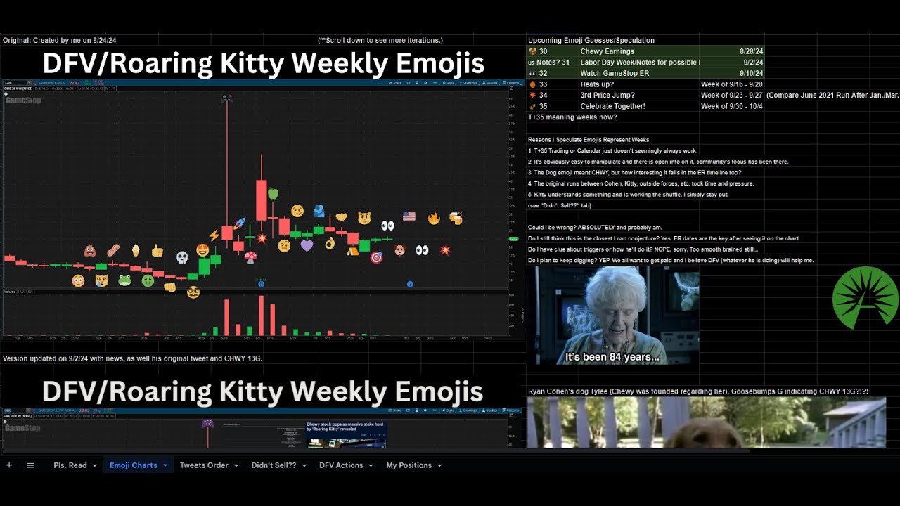 My DFV Roaring Kitty GME Tinfoil Spreadsheet - YouTube