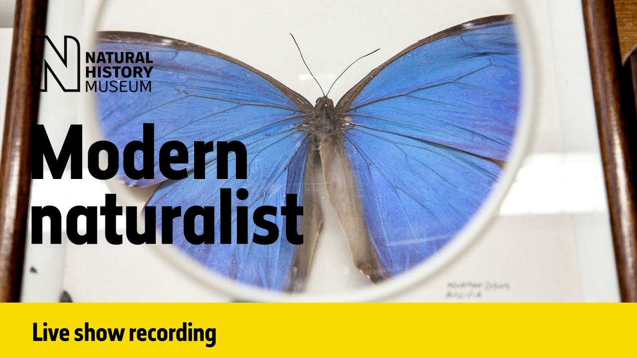 Modern naturalist | Live talk with NHM scientist - YouTube