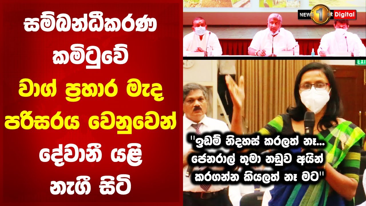 වාග් ප්‍රහාර මැද පරිසරය වෙනුවෙන් දේවානි යළි නැගී සිටි|Dewani ...