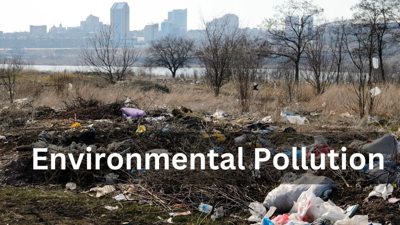 Understanding Environmental Pollution - YouTube