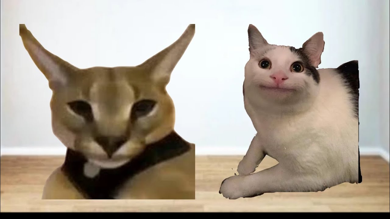 Beluga asks hecker something - YouTube