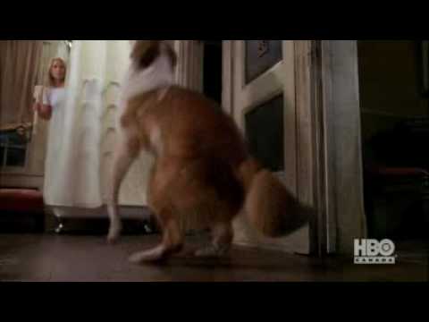 True Blood Season 1 Recap